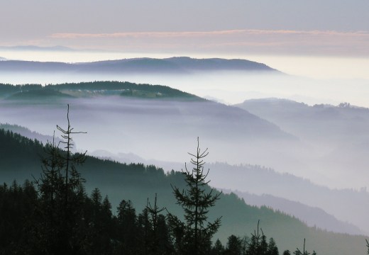 Black Forest Mist | Off the Beaten Track